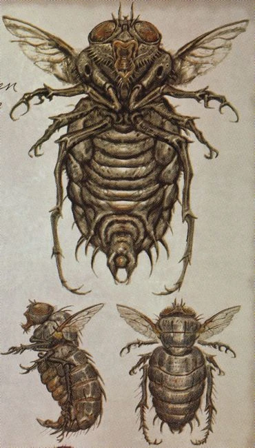 Fallout 3 creatures concept art - The Fallout wiki - Fallout: New Vegas ...