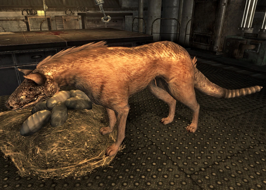 Shadis - The Fallout wiki - Fallout: New Vegas and more