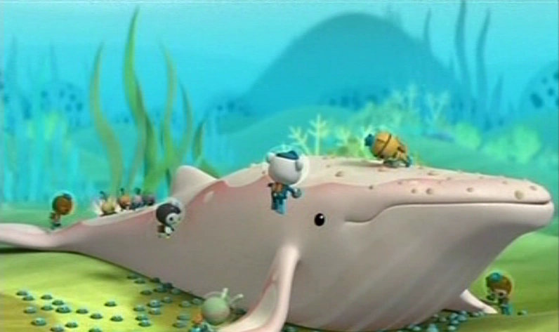 Albino Humpback Whale Octonauts The Remipedes Octonauts Wiki