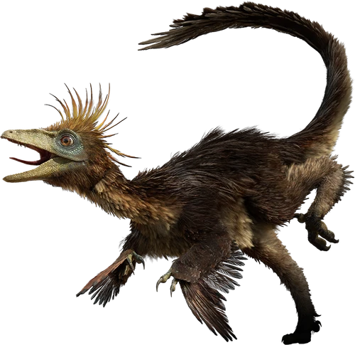 Troodontids - Dinopedia - the free dinosaur encyclopedia