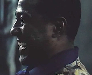 Catching Fire Chaff Poster