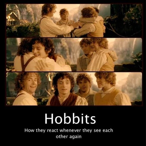 Image - Hobbits meme.jpg - Lord of the Rings Wiki